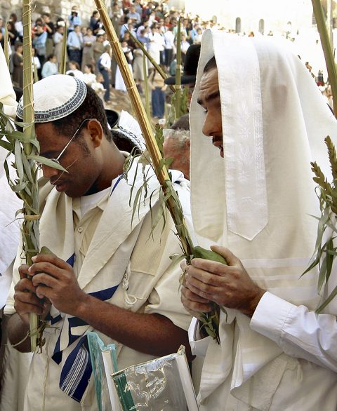 Souccoth • Bible, Histoire & Archéologie